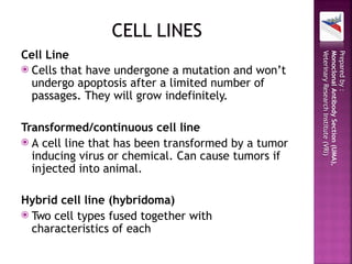 basics of mammalian cell culture, cell lines and aseptic techniques | PPT