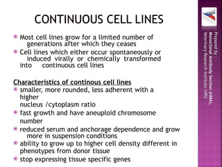 basics of mammalian cell culture, cell lines and aseptic techniques | PPTX