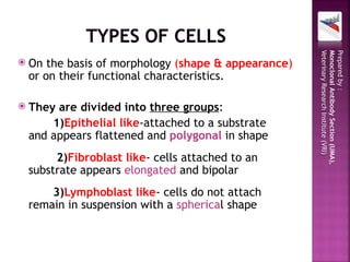 basics of mammalian cell culture, cell lines and aseptic techniques | PPTX
