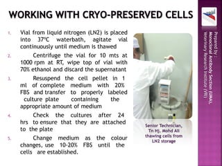 basics of mammalian cell culture, cell lines and aseptic techniques | PPTX