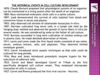 basics of mammalian cell culture, cell lines and aseptic techniques | PPT