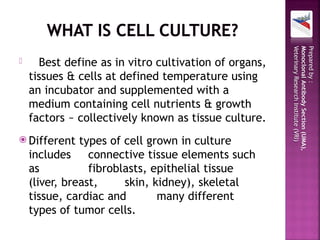 basics of mammalian cell culture, cell lines and aseptic techniques | PPTX