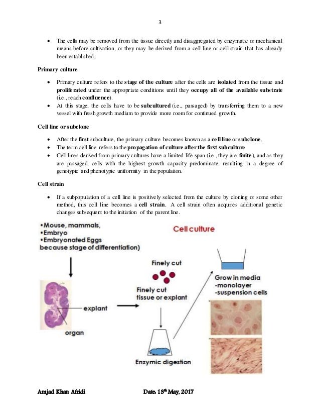 Basics of cell culture and establishment of cell line