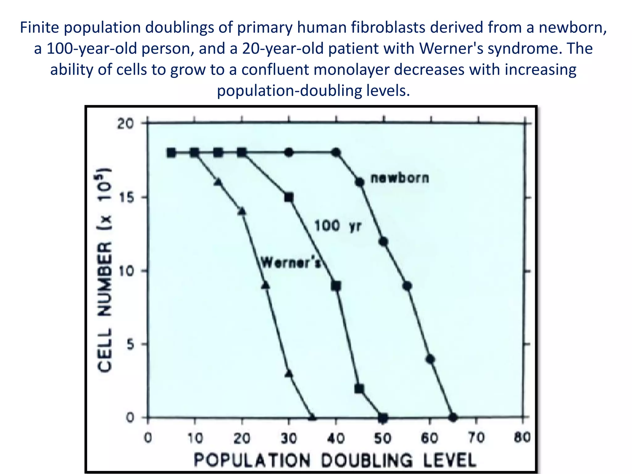 Basics of cellular aging and | PPTX