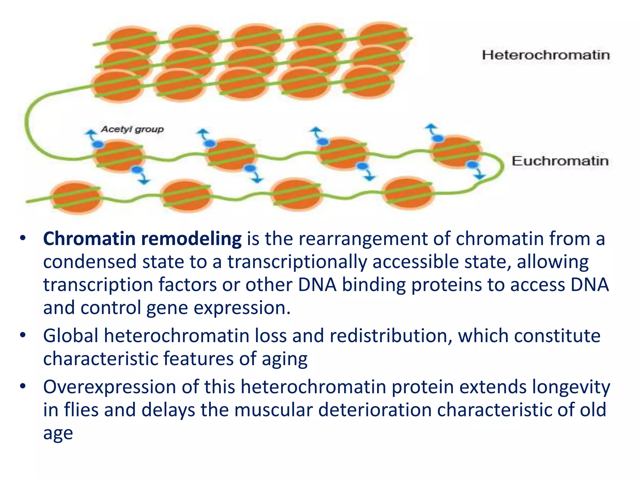 Basics of cellular aging and | PPTX