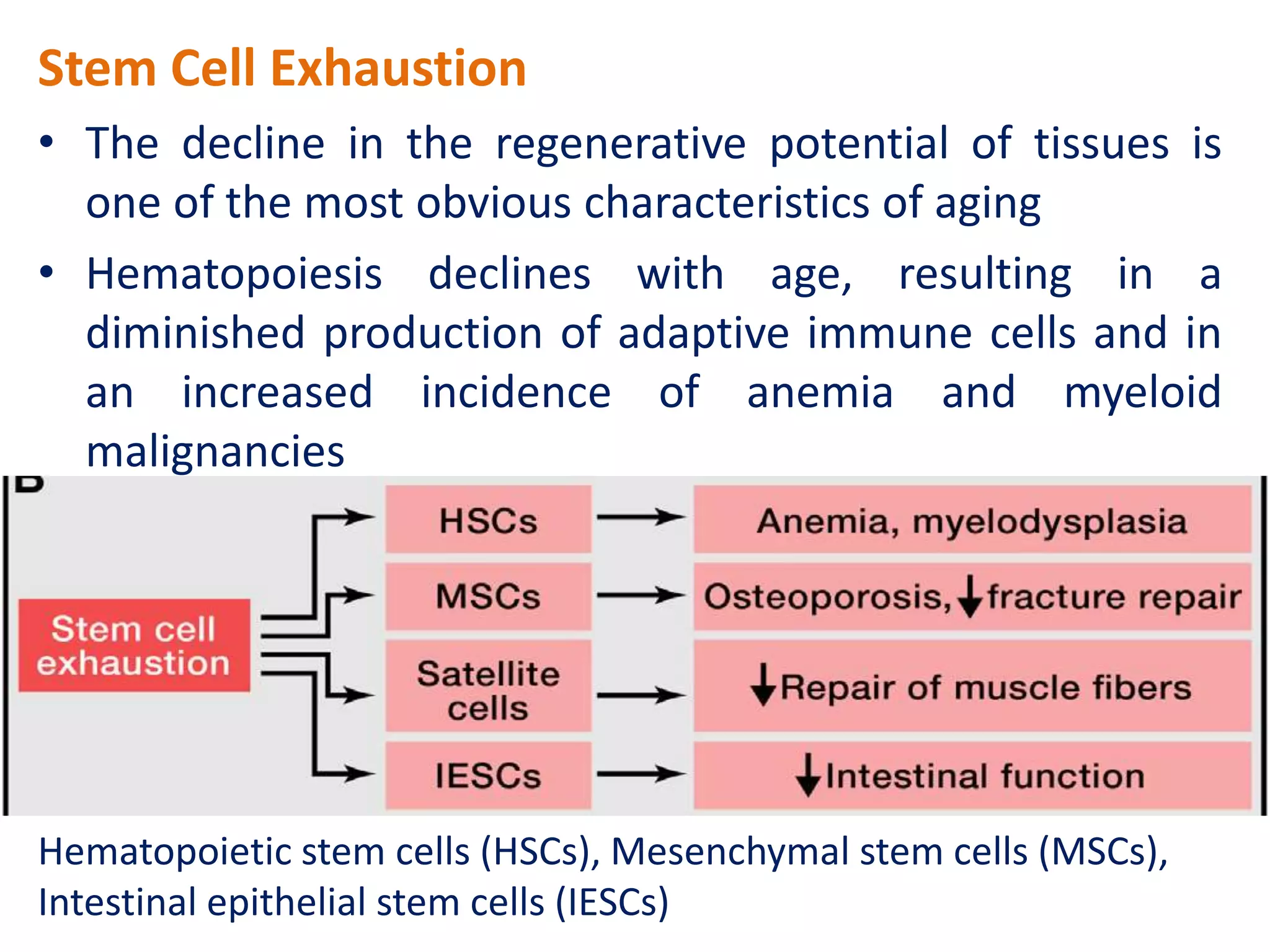 Basics of cellular aging and | PPTX