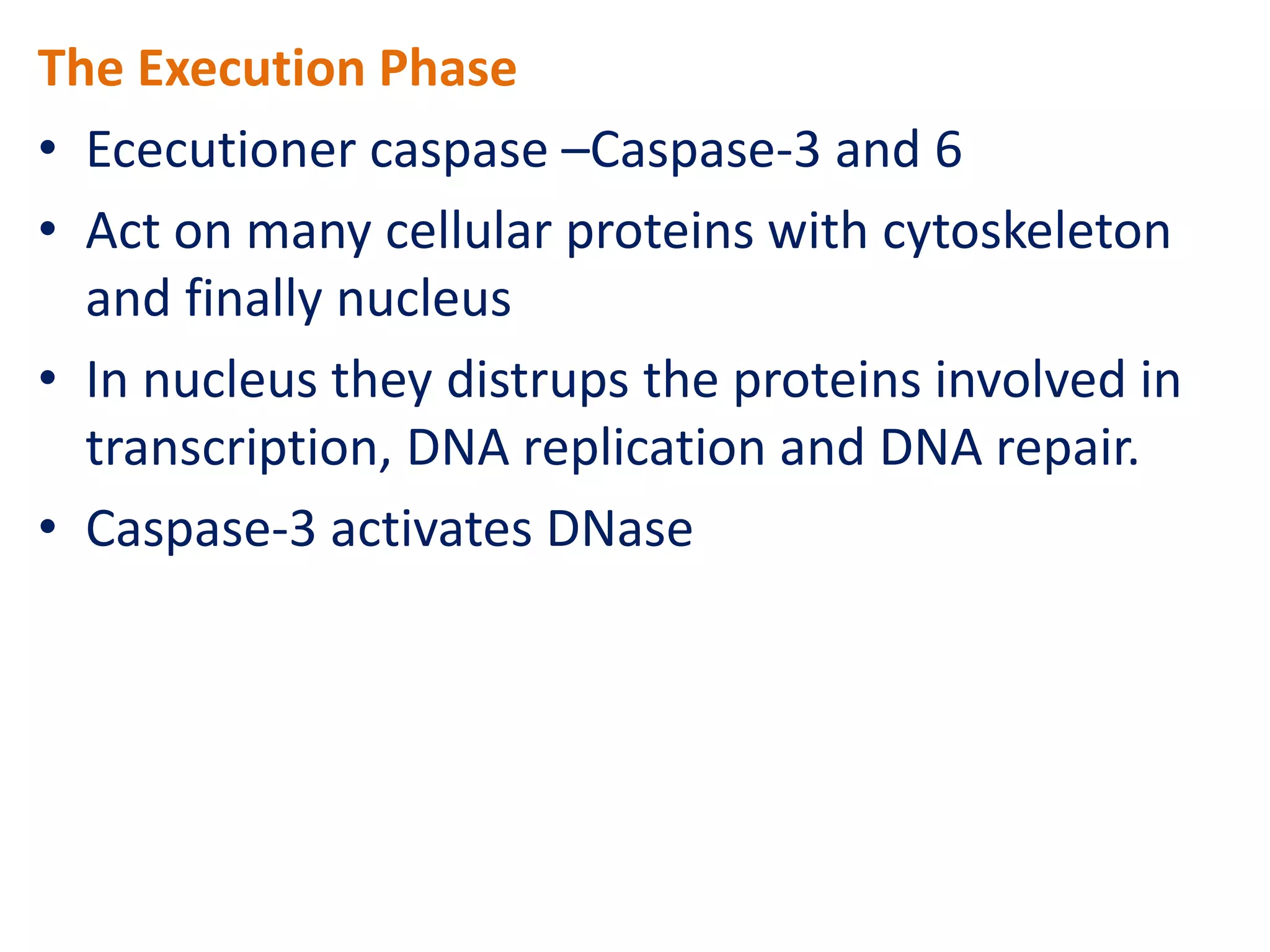 Basics of cellular aging and | PPTX