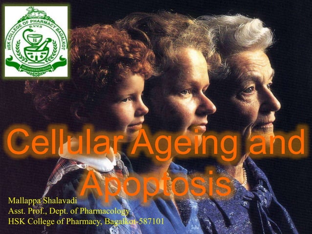 Basics of cellular aging and | PPTX | Genetics | Science
