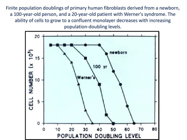 Basics of cellular aging and | PPTX | Genetics | Science