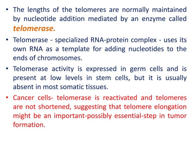 Basics of cellular aging and | PPTX | Genetics | Science