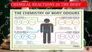 Basics of Chemical Reactions | PDF