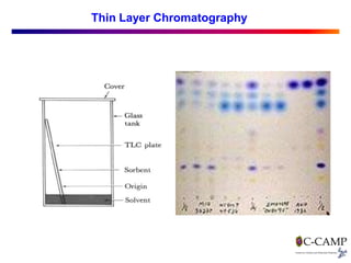 Basics of Chromatography_KR_C-CAMP.pptx