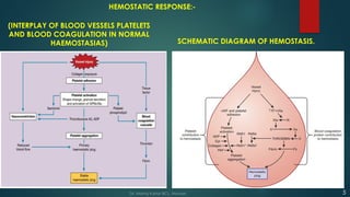 BASICS OF COAGULATION SCREENING TESTS FOR HEMOSTATIC DISORDERS.pptx