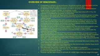 BASICS OF COAGULATION SCREENING TESTS FOR HEMOSTATIC DISORDERS.pptx
