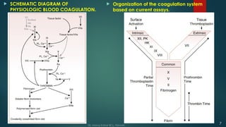BASICS OF COAGULATION SCREENING TESTS FOR HEMOSTATIC DISORDERS.pptx