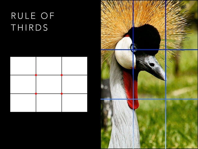 Basics of composition | PPT