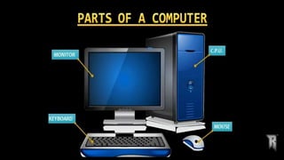 Basics of computers.pptx | Computer Peripherals | Computing
