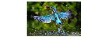 Basics of Computer systemtsystemtsystemt.pptx