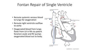 Basics of congenital heart disease | PPTX