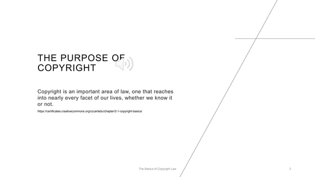 Basics of Copyright Law.pptx