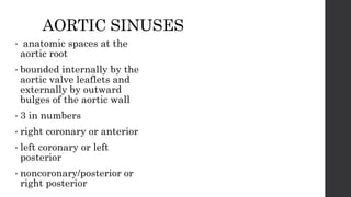 Basics of coronary artery anatomy and angiographic views | PPTX