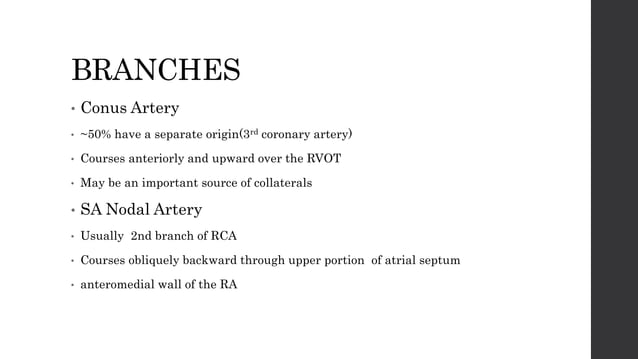 Basics of coronary artery anatomy and angiographic views | PPTX