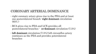 Basics of coronary artery anatomy and angiographic views | PPTX