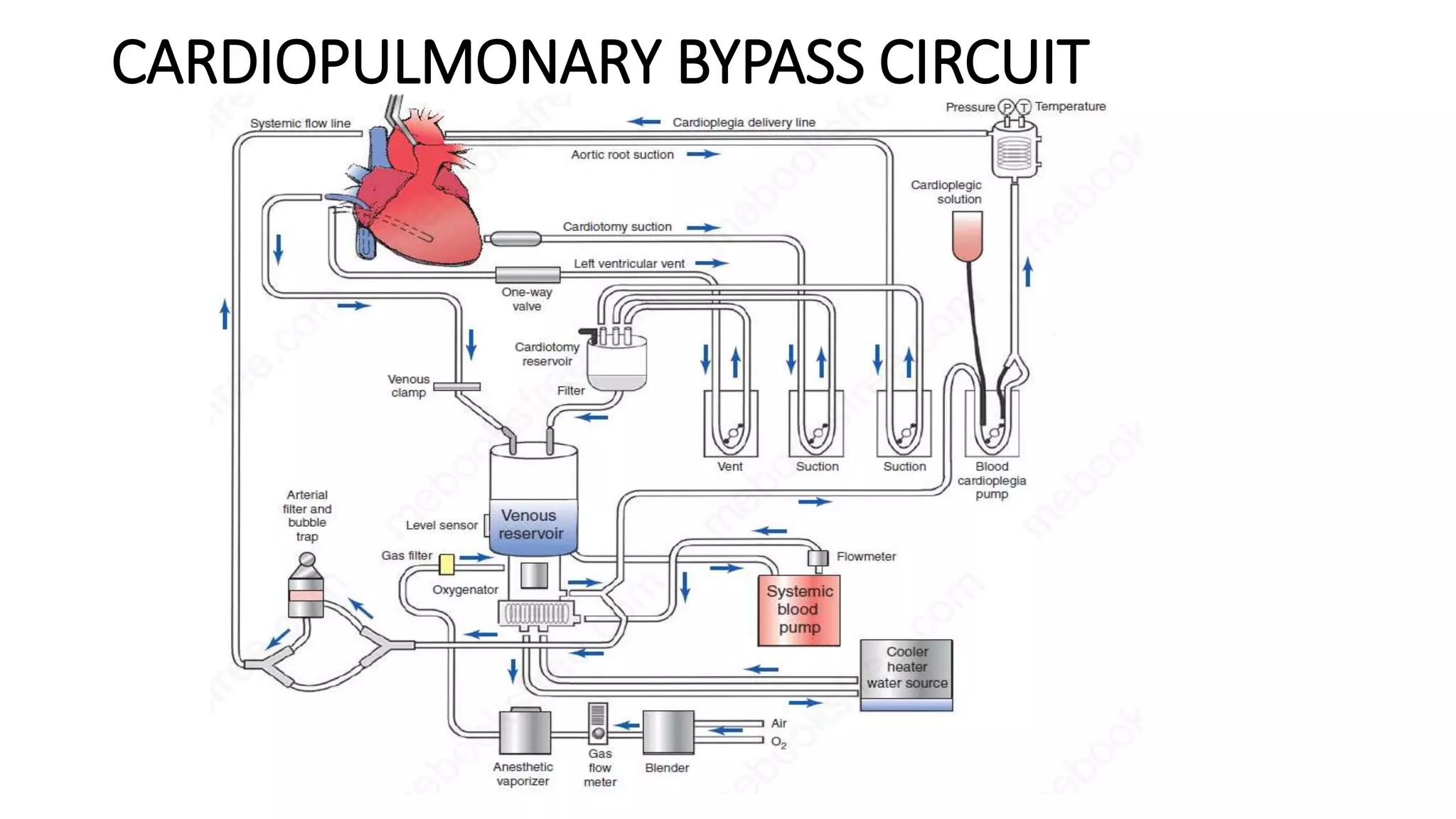 Basics of cpb | PPTX