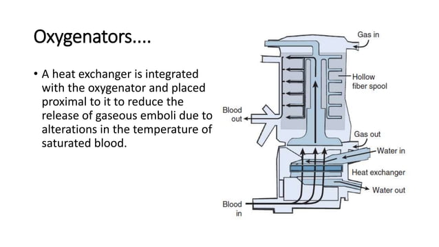 Basics of cpb | PPTX