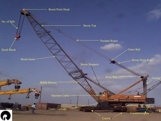Basics of crane | PPT