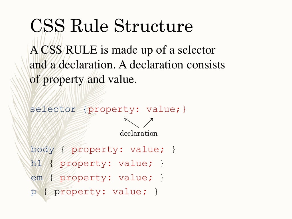 basics of css