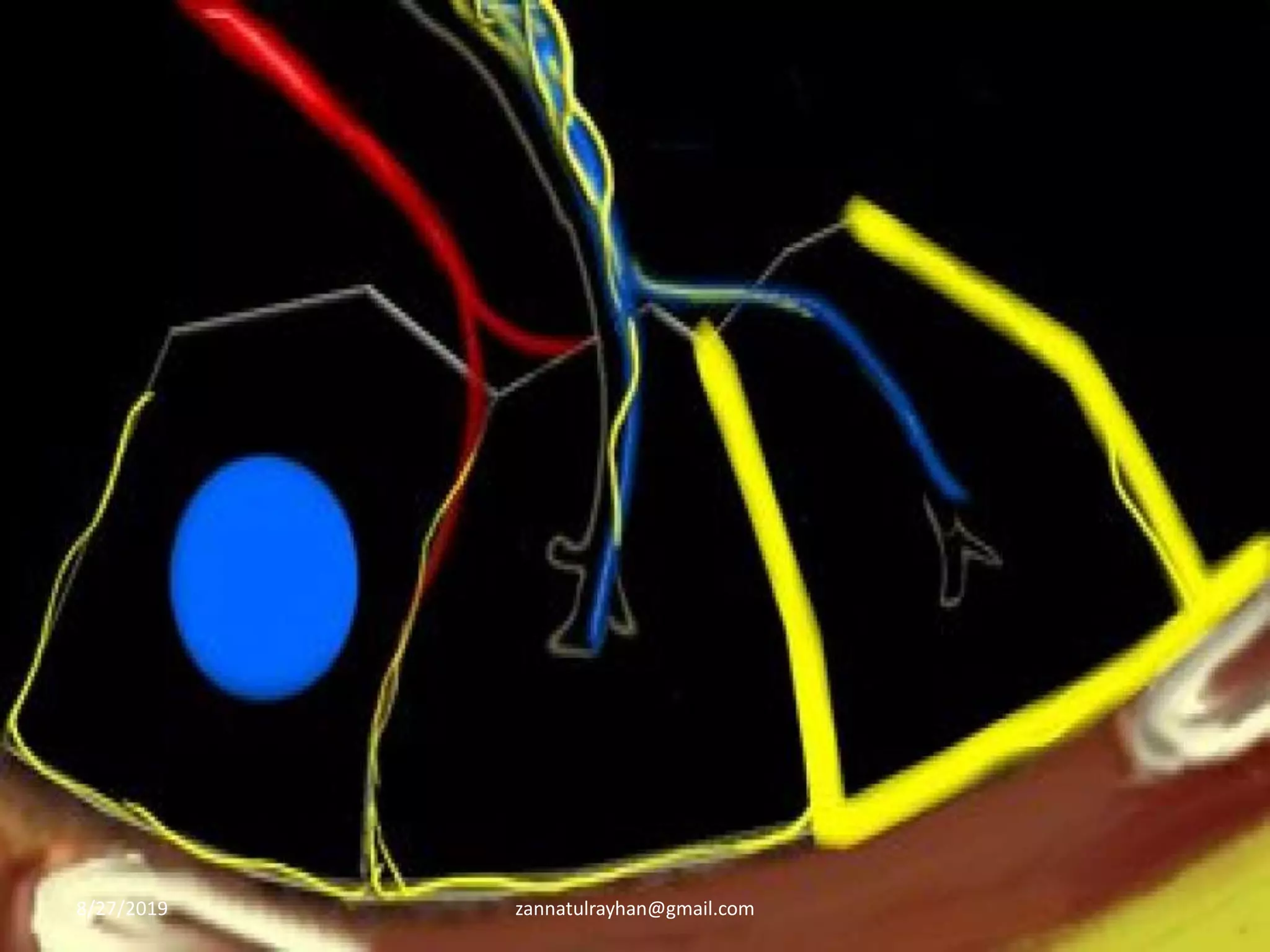 Basics of CT Chest | PPTX