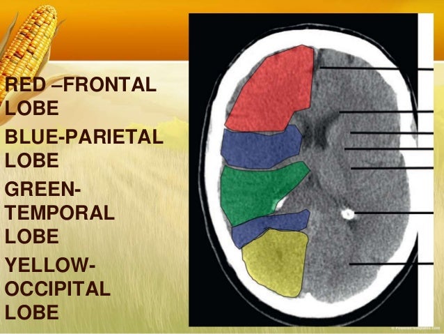Basics of ct mri