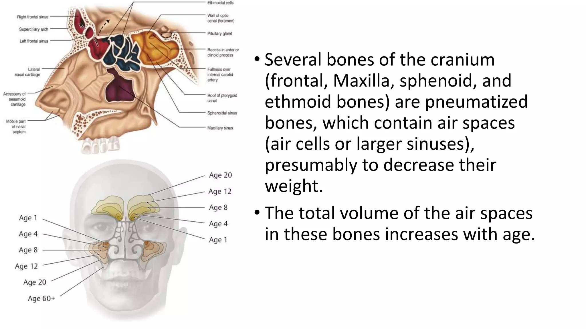Basics of CT Scan interpretation of paranasal sinuses.pptx