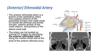 Basics of CT Scan interpretation of paranasal sinuses.pptx
