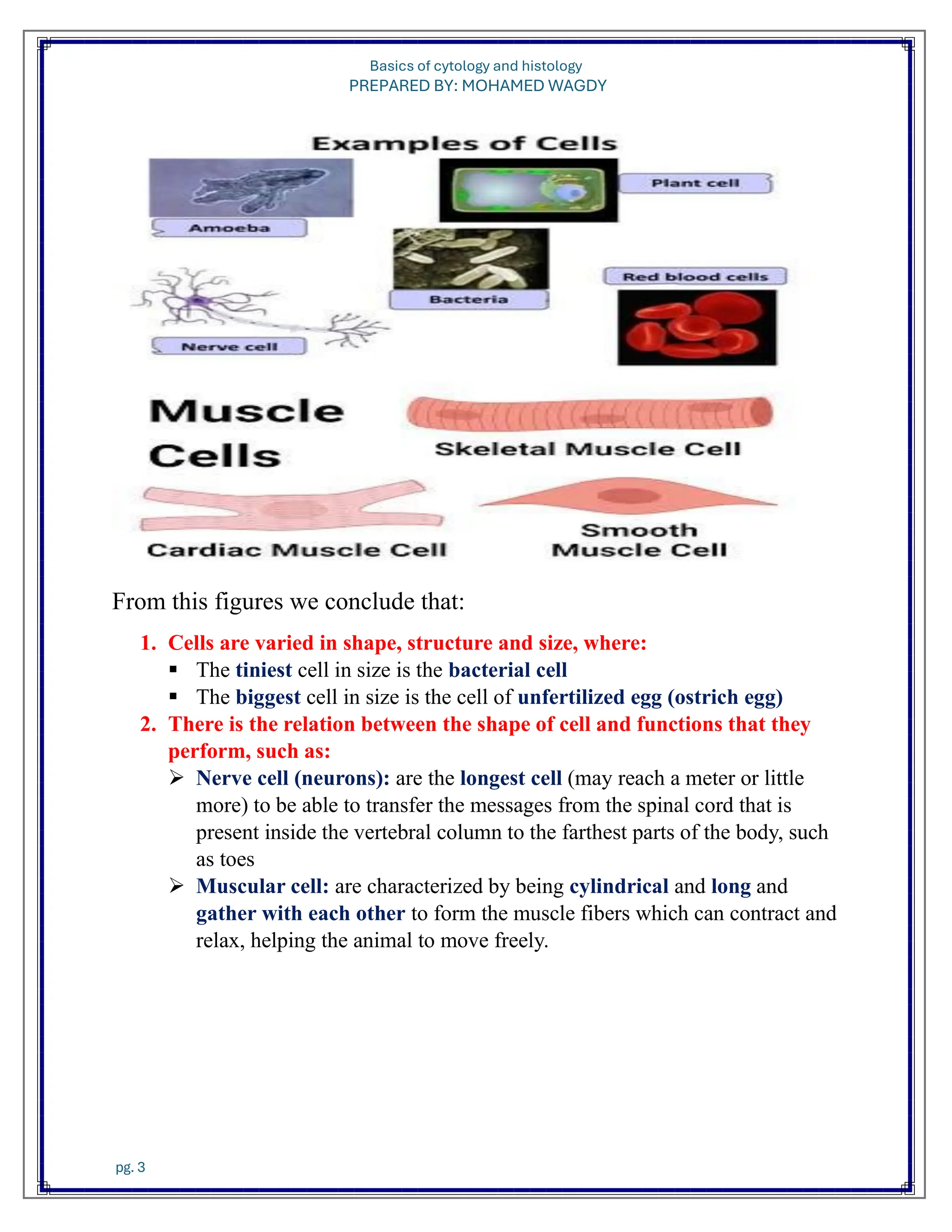 basics of histology and cytology science | PDF