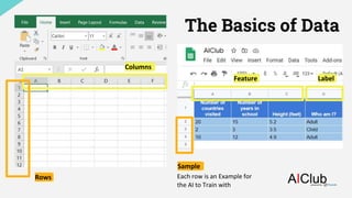 Basics of data | PPTX