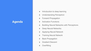 Basics of Deep Learning | PPTX