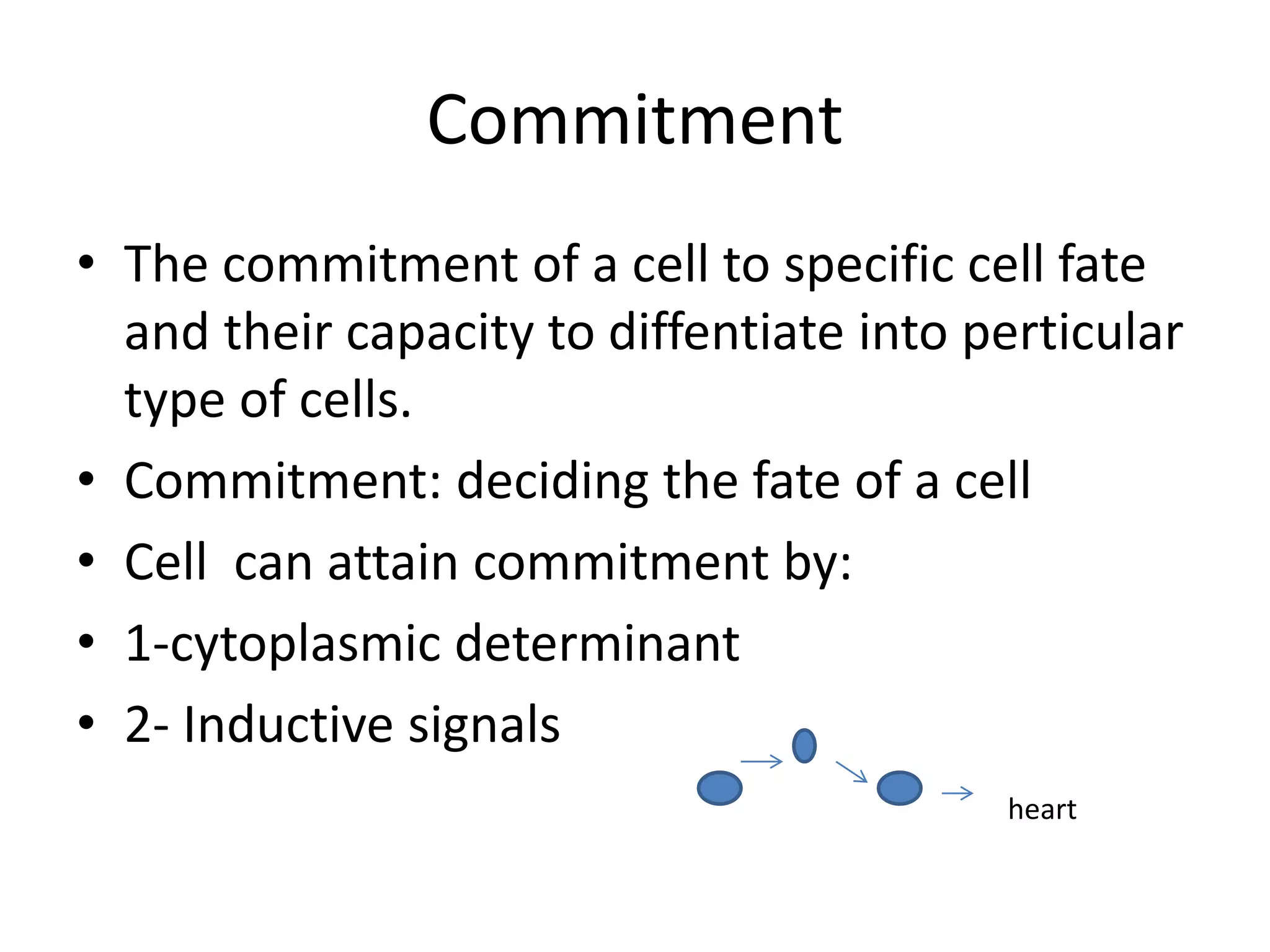 Basics of developmental biology 1 | PPTX