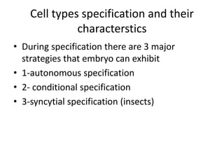 Basics of developmental biology 1 | PPTX
