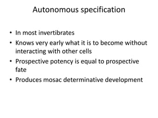 Basics of developmental biology 1 | PPTX