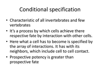 Basics of developmental biology 1 | PPTX