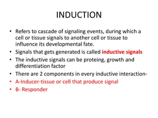 Basics of developmental biology 1 | PPTX