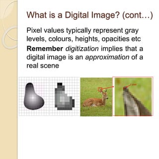 Basics of digital image processing | PPTX