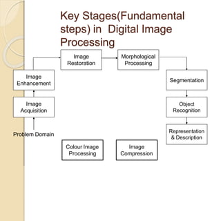 Basics of digital image processing | PPTX