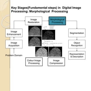 Basics of digital image processing | PPTX