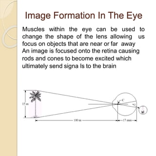 Basics of digital image processing | PPTX
