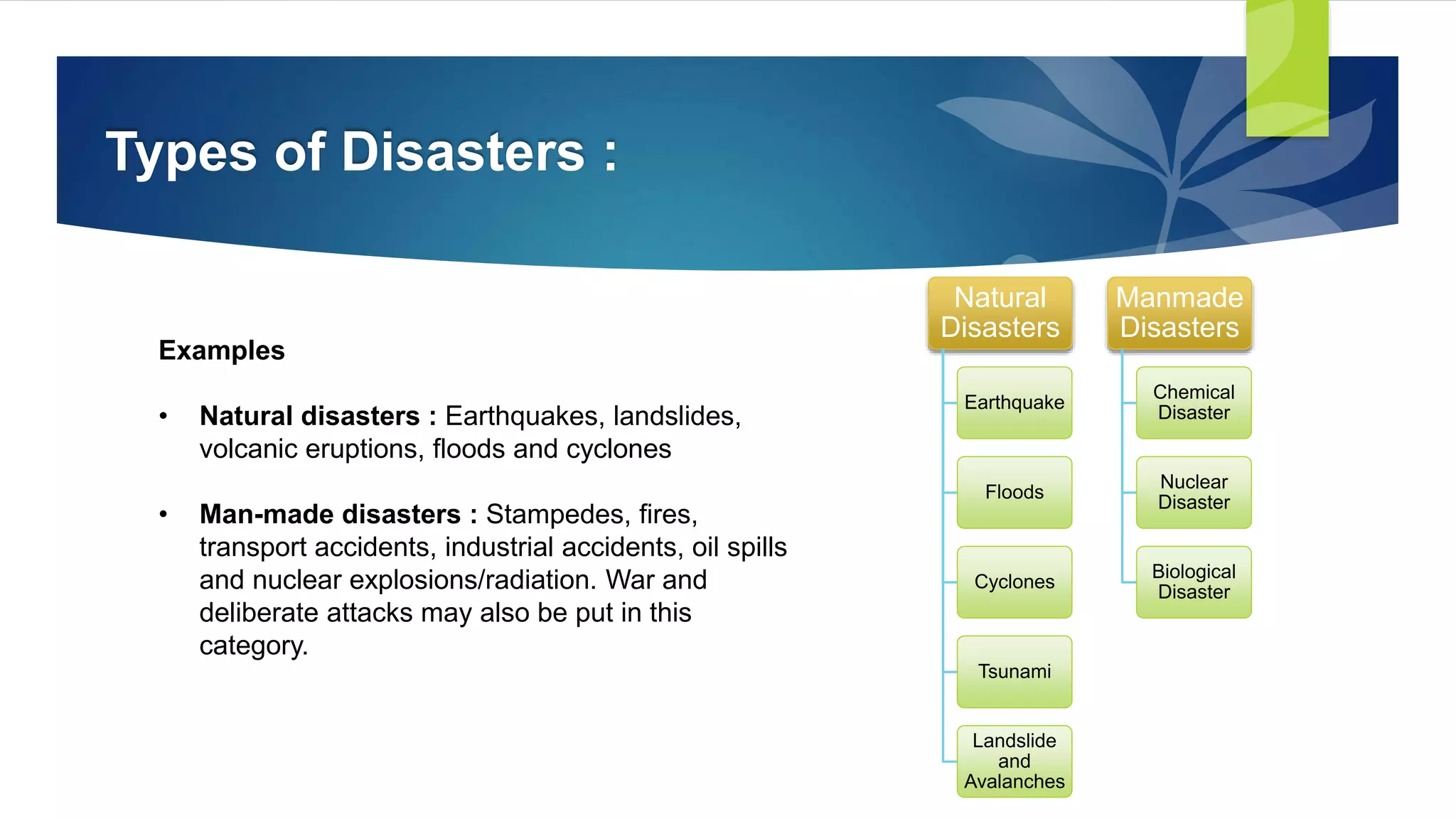 Basics of disaster risk management | PPTX