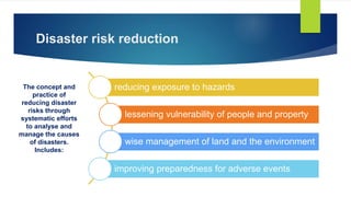 Basics of disaster risk management | PPTX