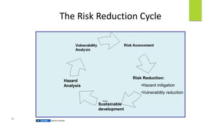 Basics of disaster risk management | PPTX